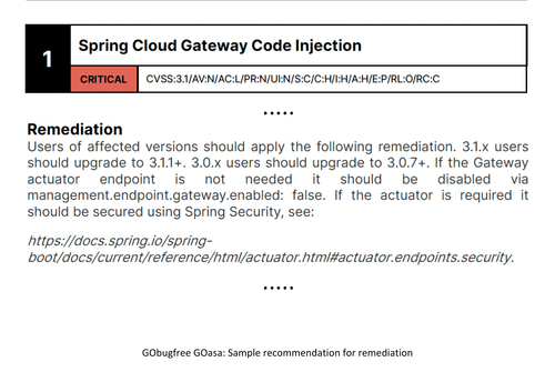 GOasa – Attack Surface Scanning for Exposed Systems & Weak Points
